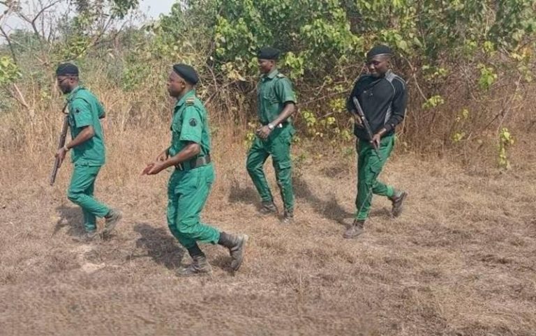 Tinubu Okays Recruitment Of 1,000 Forest Guards In Oyo