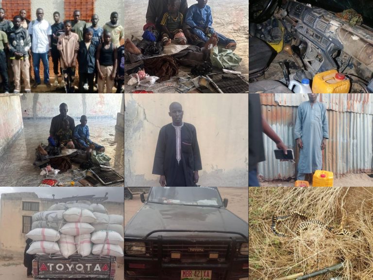 Troops Arrest Terror Logistics Suppliers In North-East Counterterrorism ...